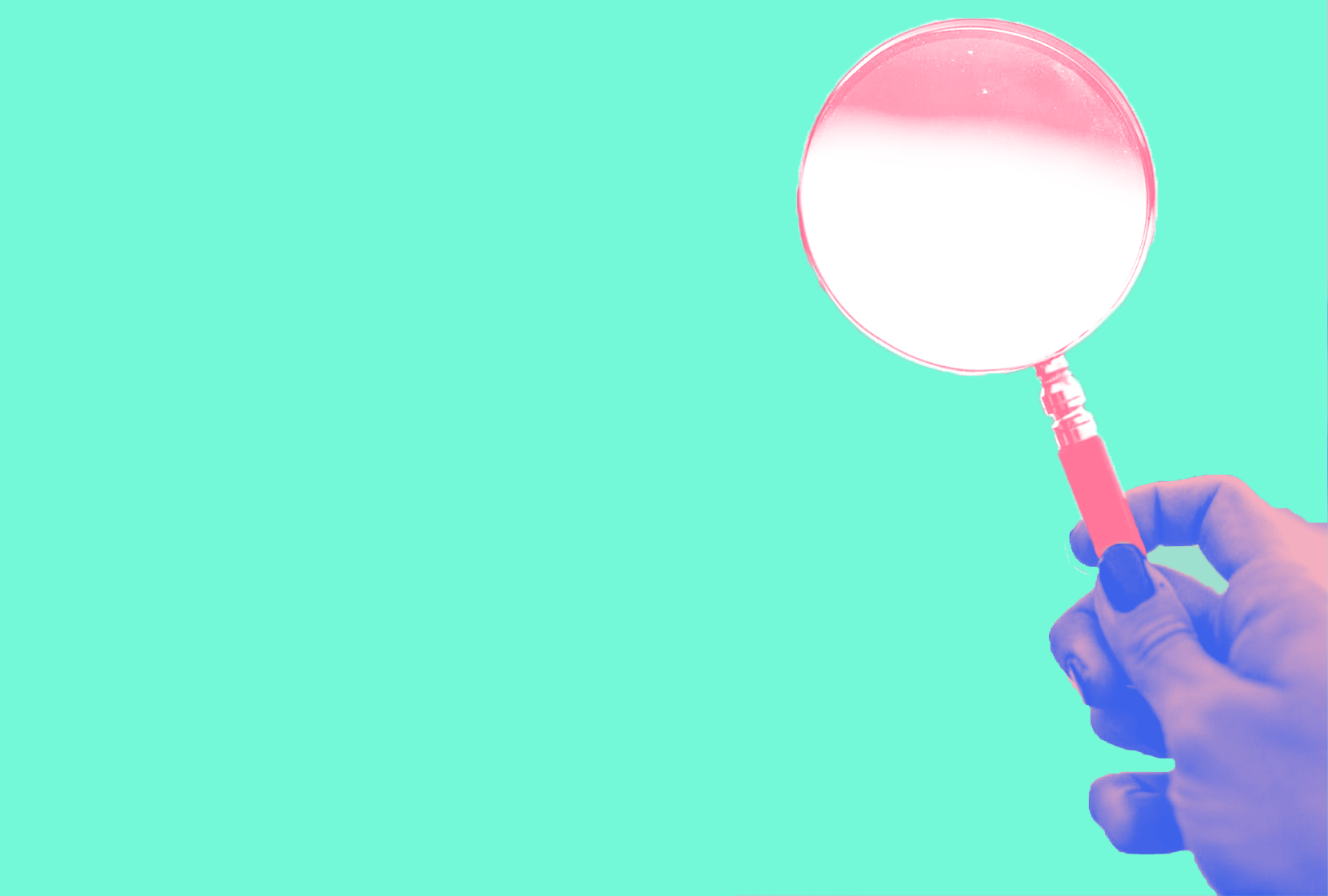 White Space Analysis: Everything You Need to Know! ? - tl;dv